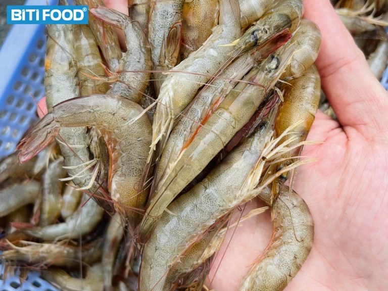 Chả Ram Tôm Đất Tiếng Anh Là Gì? - BiTi Food